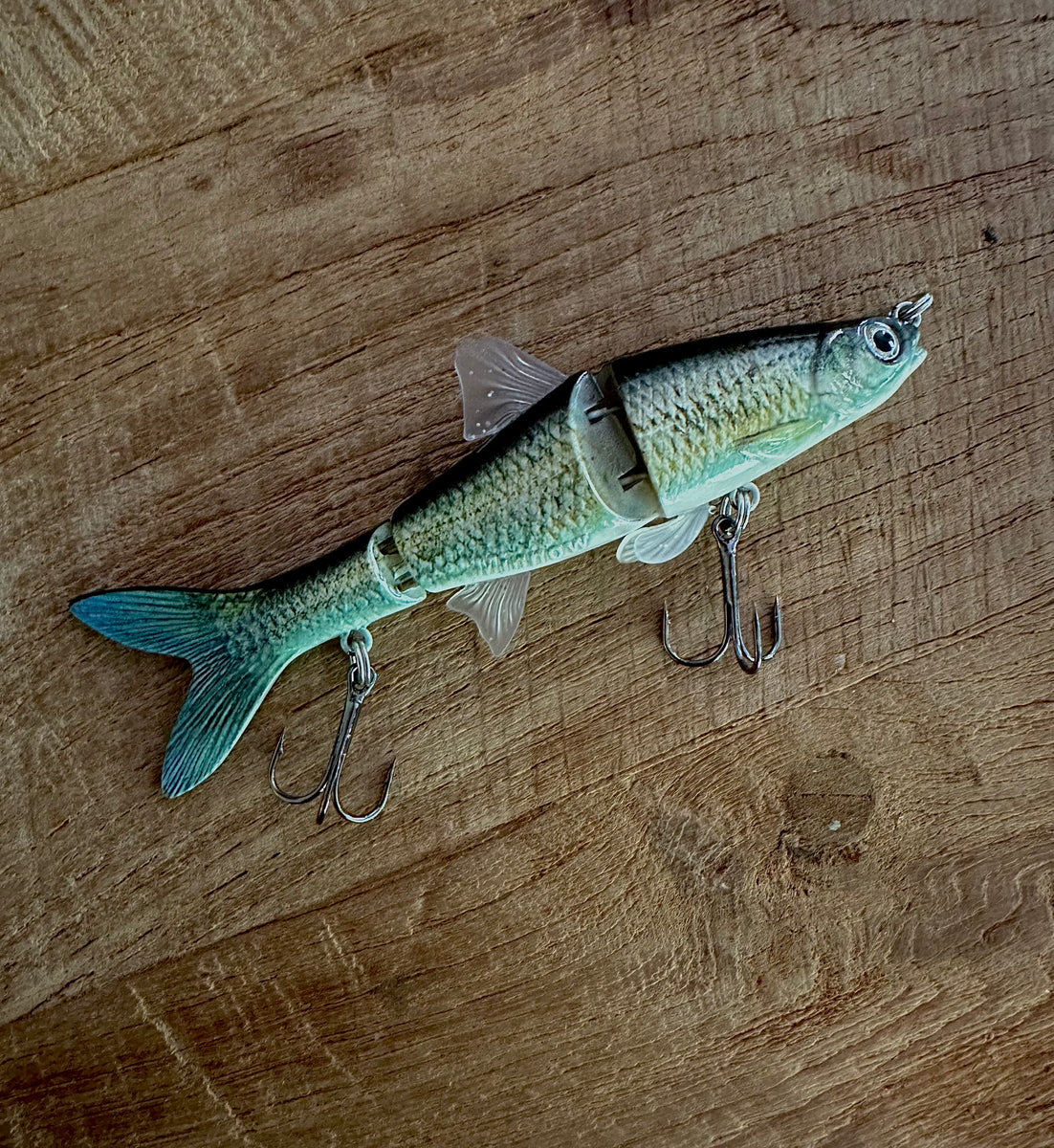 Common Shiner – mothernaturelures